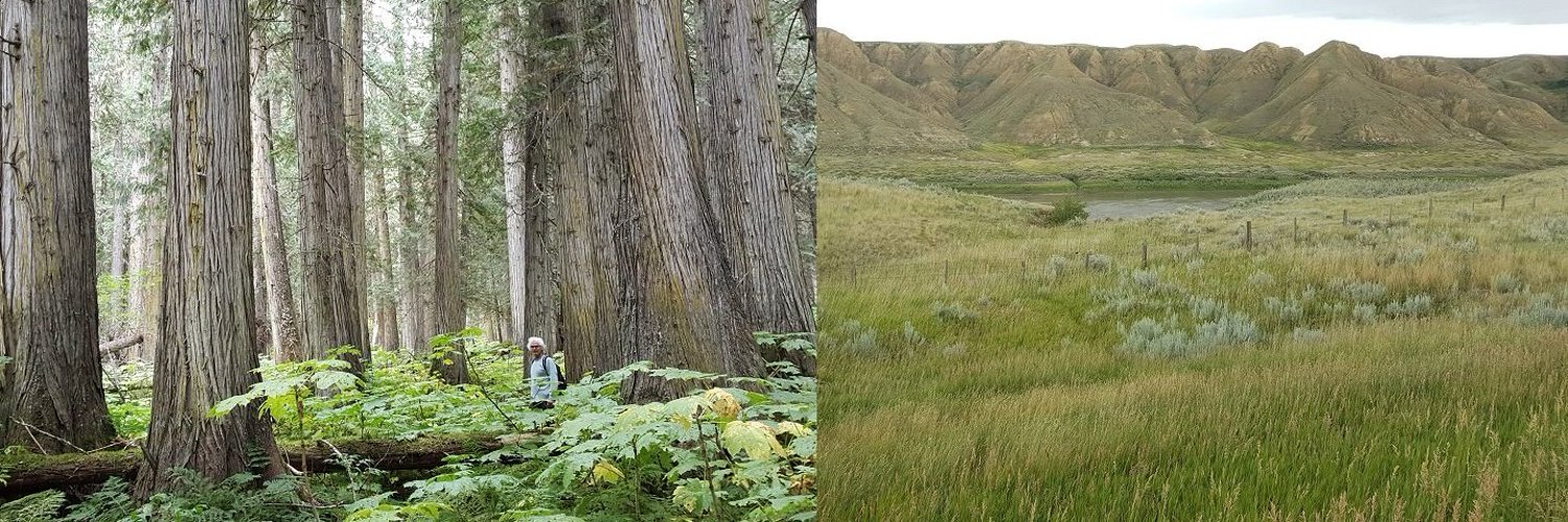 Brandfetch | Endangered Ecosystems Logos & Brand Assets