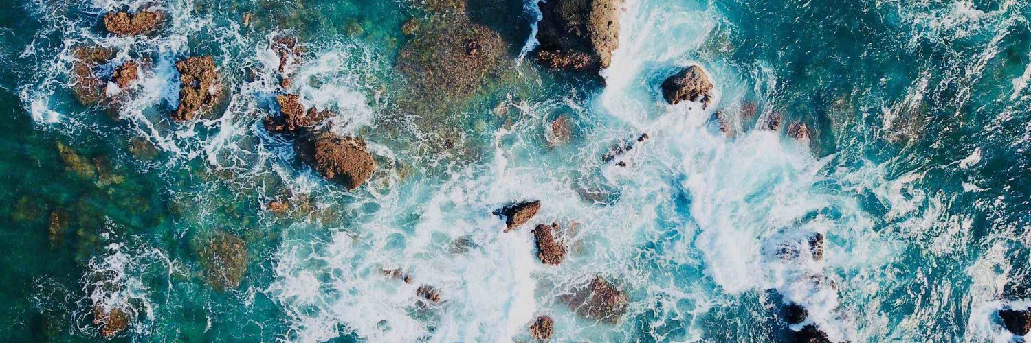 Seafile Logo & Brand Assets (SVG, PNG and vector) - Brandfetch