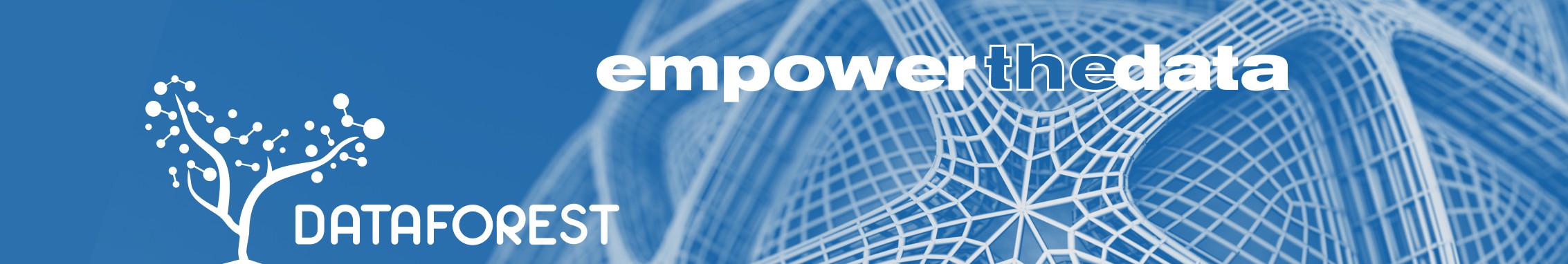 Brandfetch | Dataforest Logos & Brand Assets