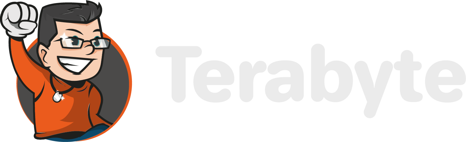 Terabyte Logo & Brand Assets (SVG, PNG and vector) - Brandfetch