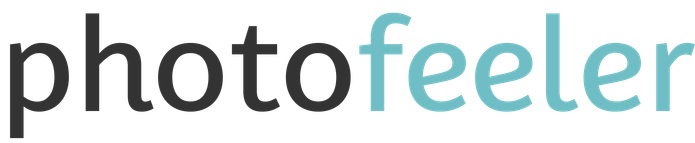 Photofeeler Logo & Brand Assets (SVG, PNG and vector) - Brandfetch