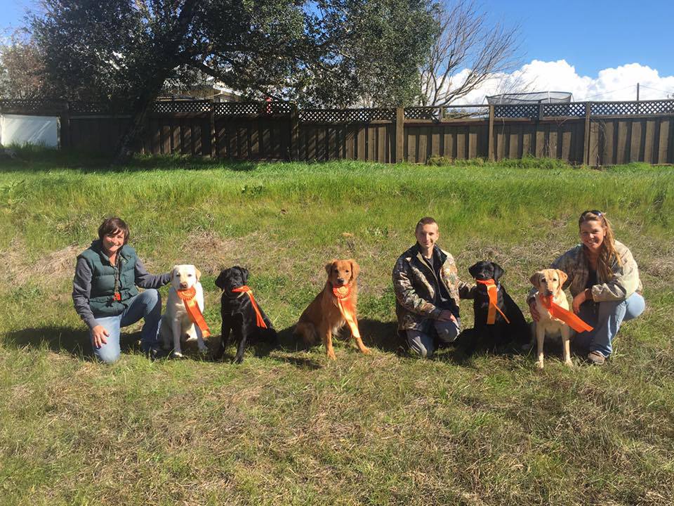 Sundowners Kennels Logos & Brand Assets | Brandfetch