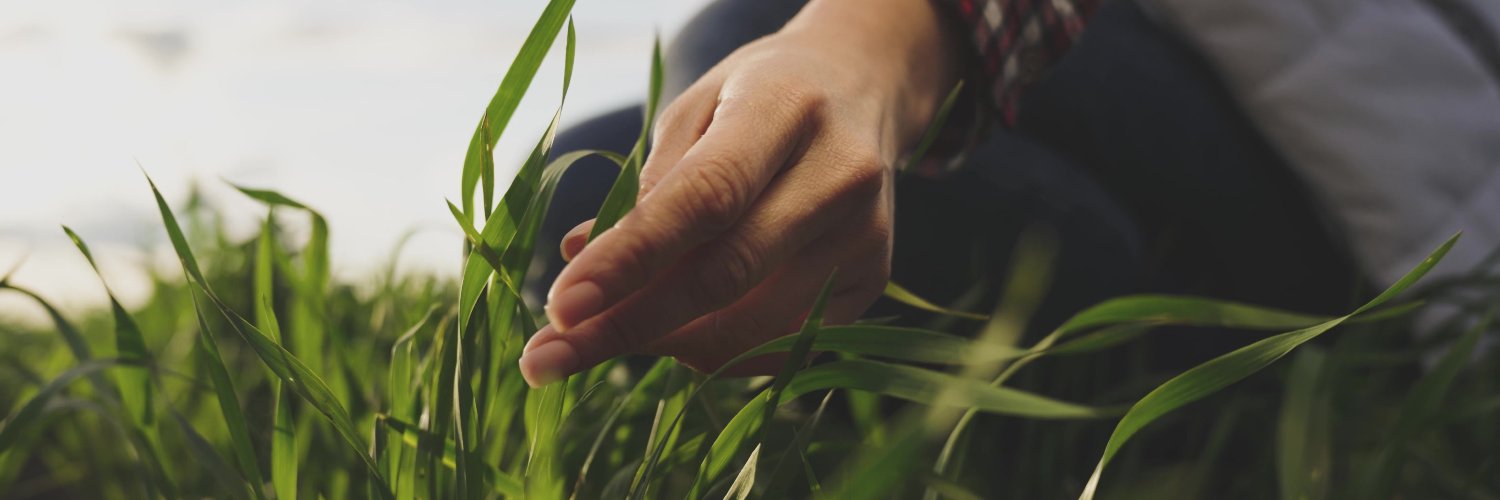 Tessenderlo Group Logo & Brand Assets (SVG, PNG and vector) - Brandfetch