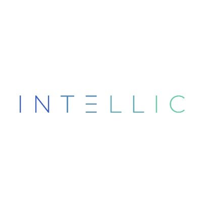 INTELLIC.AI Logos & Brand Assets | Brandfetch