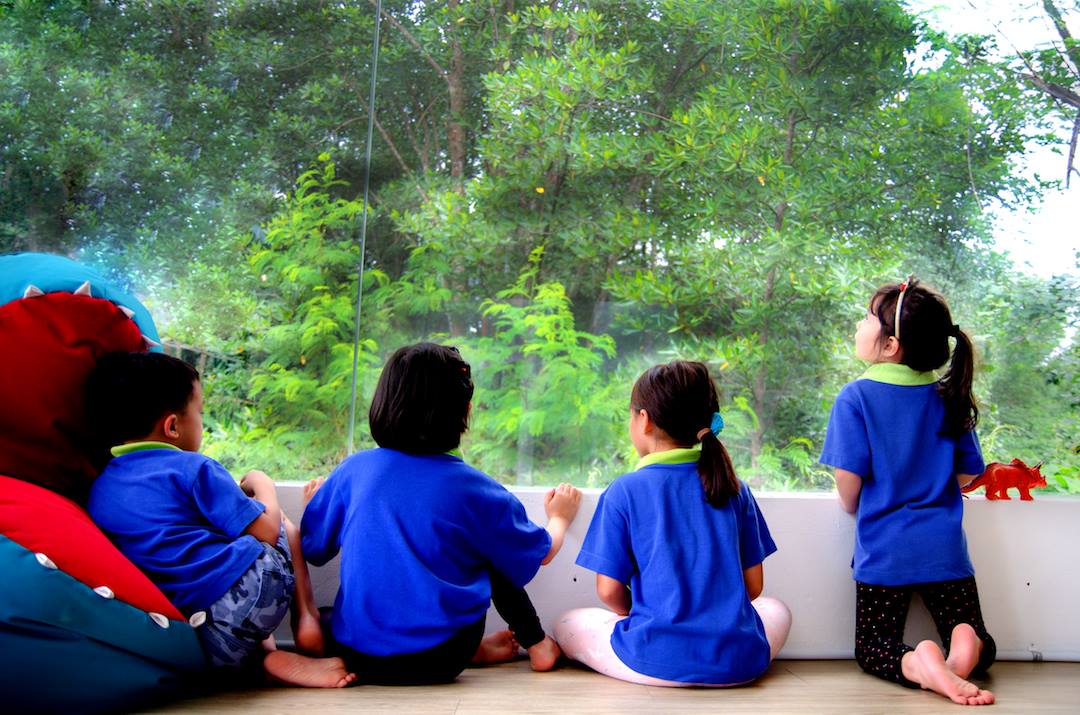 Young Explorers Academy Logos & Brand Assets | Brandfetch