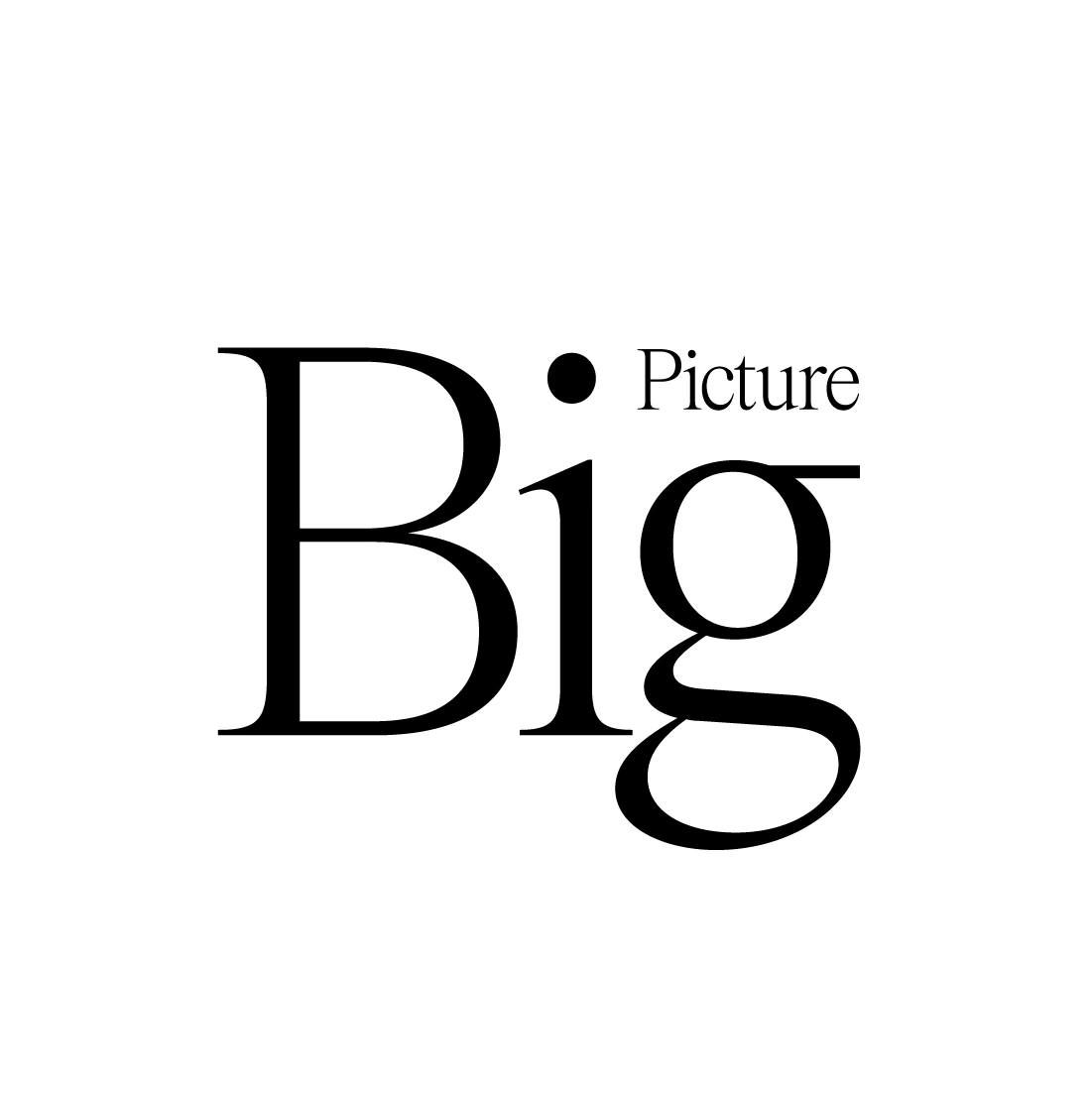 Big Picture Logo & Brand Assets (SVG, PNG and vector) - Brandfetch