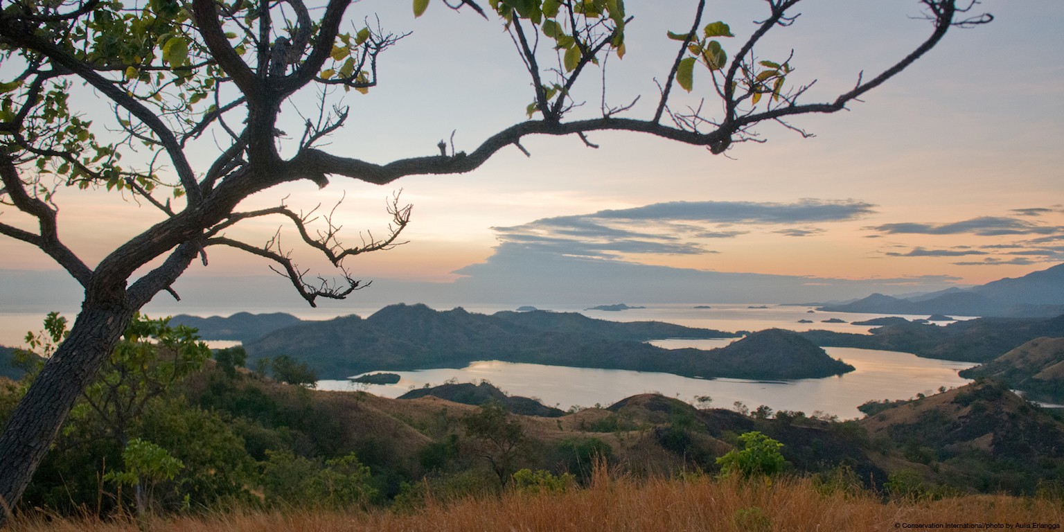 Critical Ecosystem Partnership Fund Logo & Brand Assets (SVG, PNG and ...