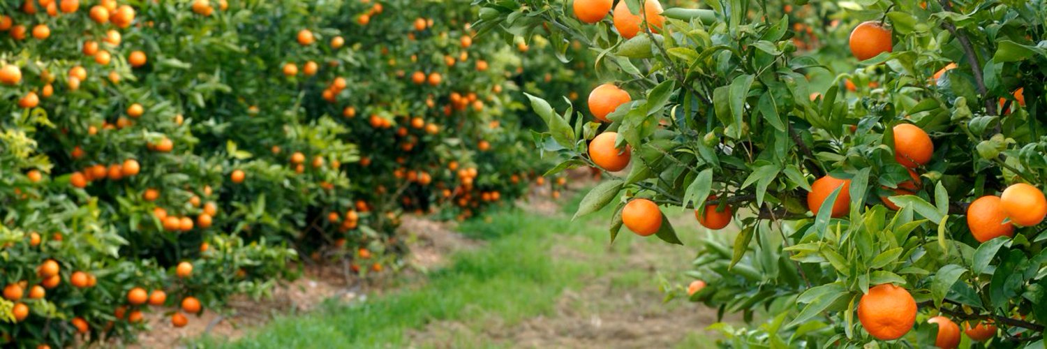 Brandfetch | LAINCO agro Logos & Brand Assets