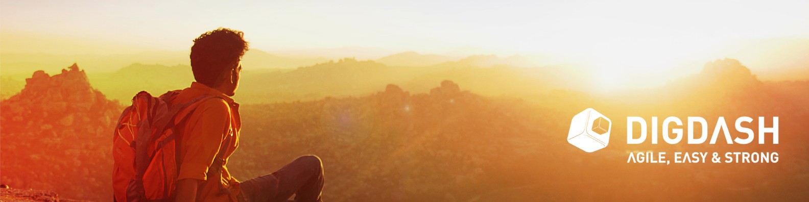 DigDash Logo & Brand Assets (SVG, PNG and vector) - Brandfetch