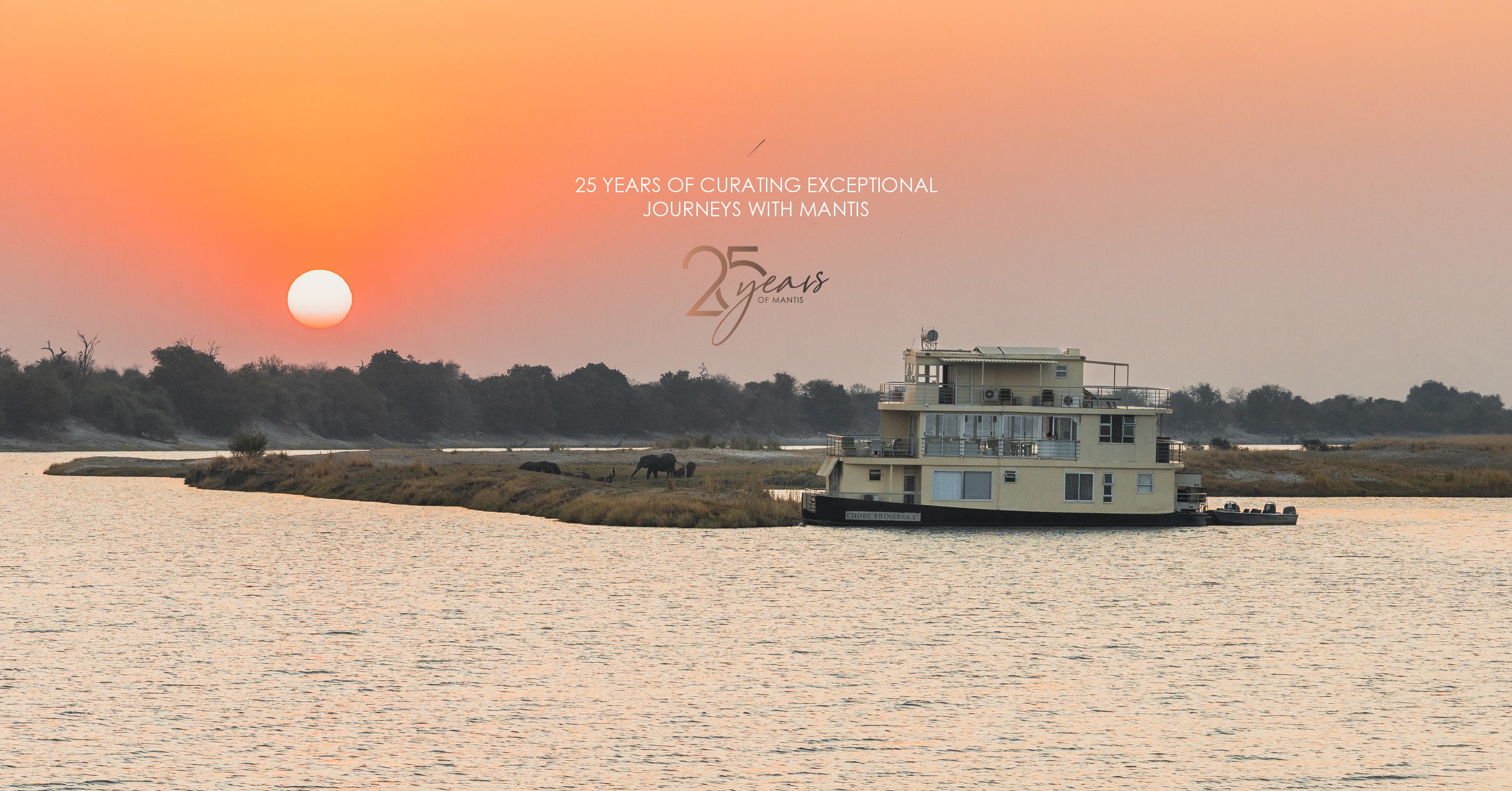 Brandfetch | Mantis Logos & Brand Assets