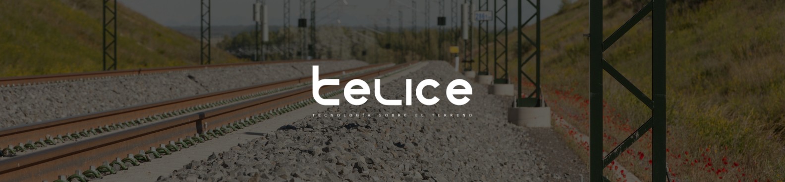 Brandfetch | Telice Logos & Brand Assets