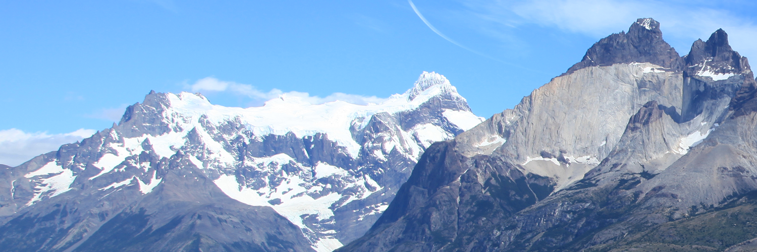 Brandfetch | Bio Logos & Brand Assets