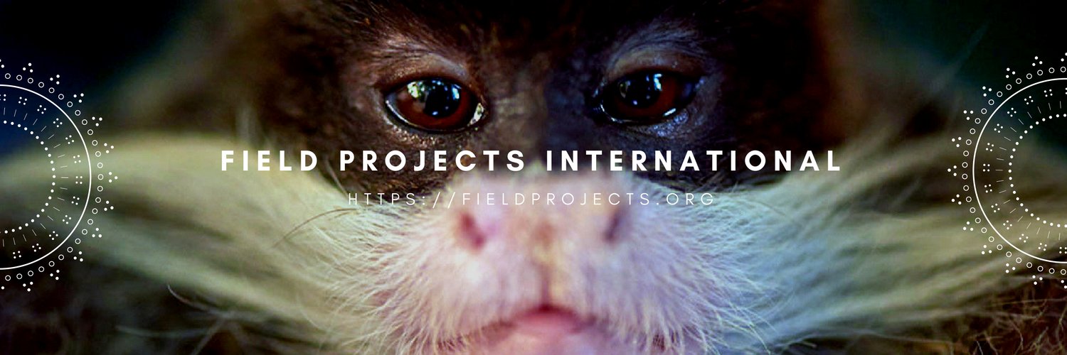 Brandfetch | Field Projects Logos & Brand Assets