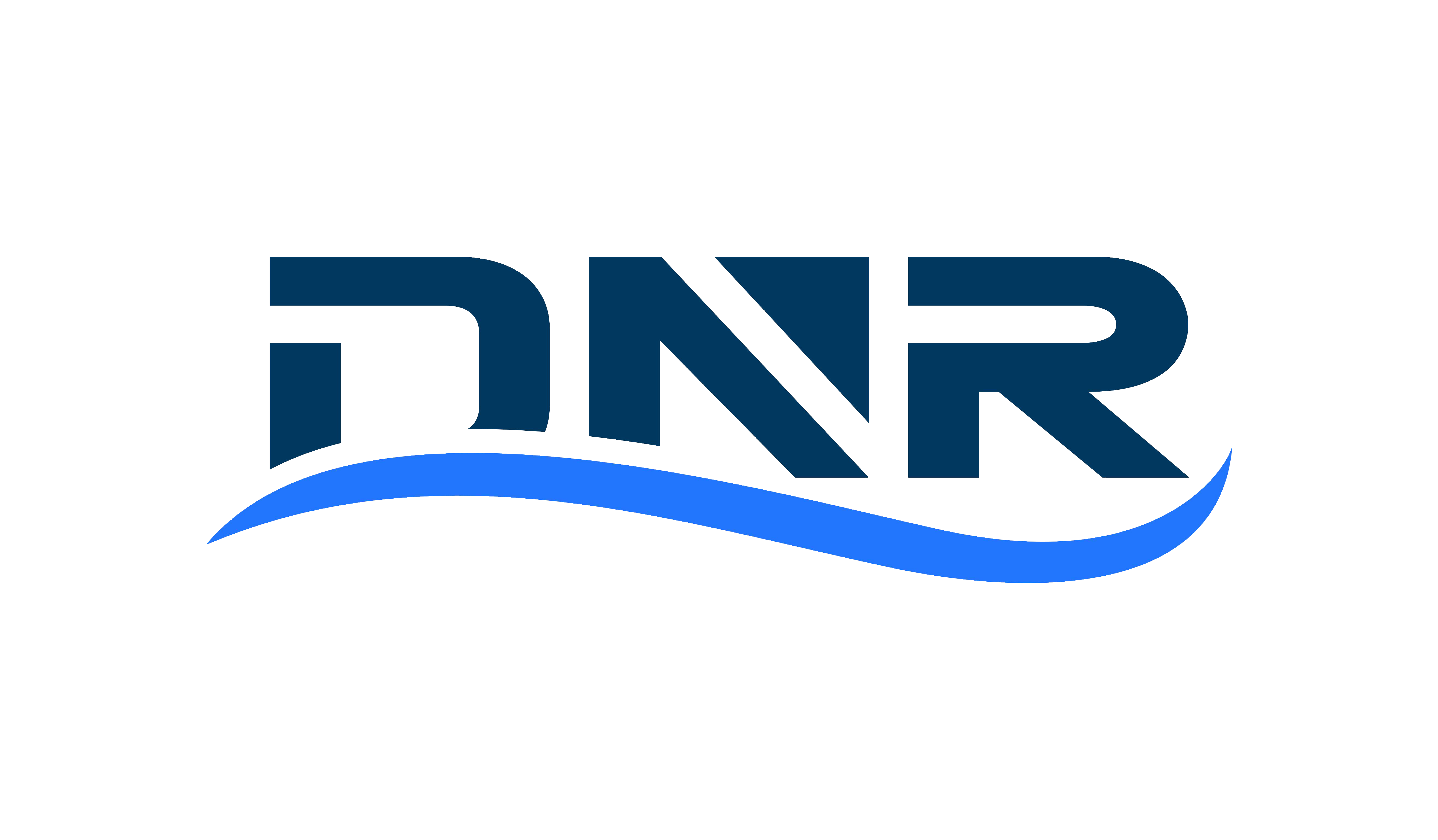 Brandfetch | DNR Display Logos & Brand Assets