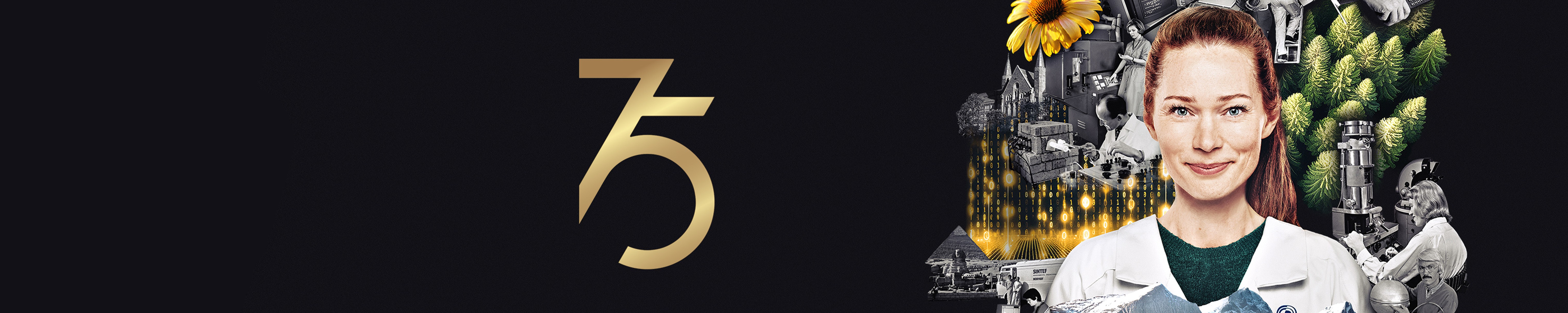 SINTEF Logo & Brand Assets (SVG, PNG and vector) - Brandfetch