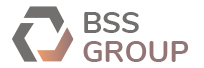 Brandfetch | BSS Logos & Brand Assets