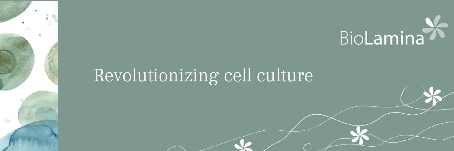 Brandfetch | BioLamina Logos & Brand Assets