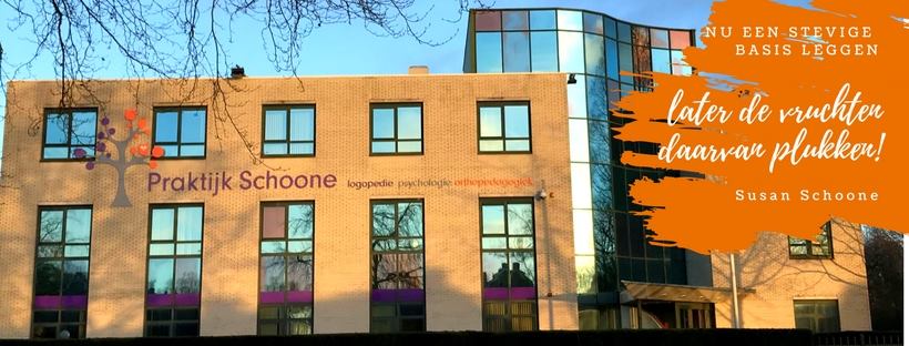 Brandfetch | Praktijk Schoone | Roosendaal Logos & Brand Assets