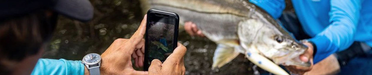 Fishbrain Logo & Brand Assets (SVG, PNG and vector) - Brandfetch