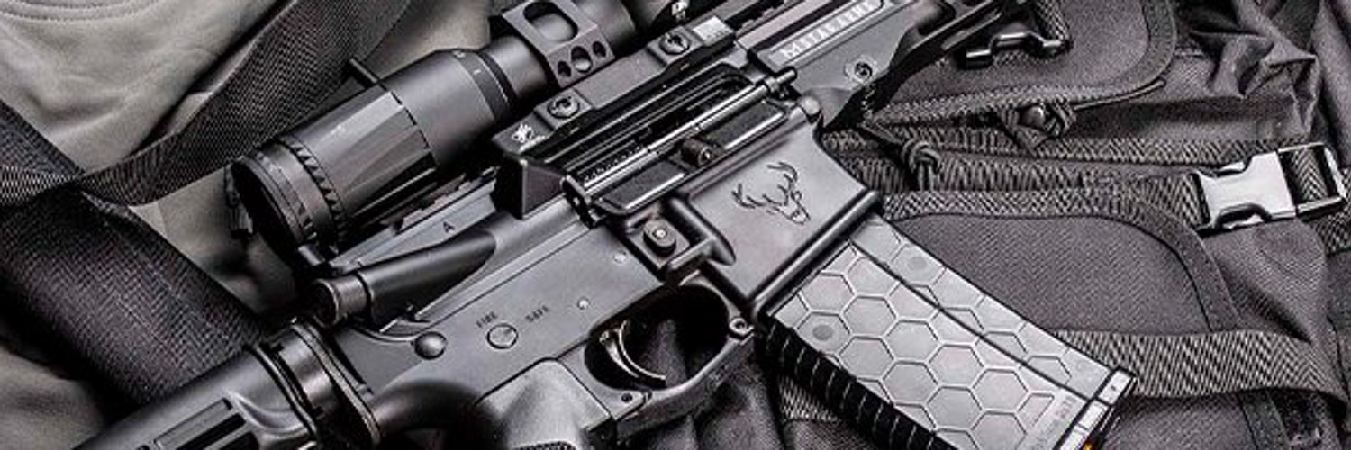 Brandfetch | Stag Arms Logos & Brand Assets