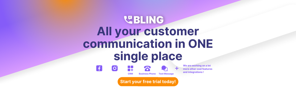 Bling Logo & Brand Assets (SVG, PNG and vector) - Brandfetch