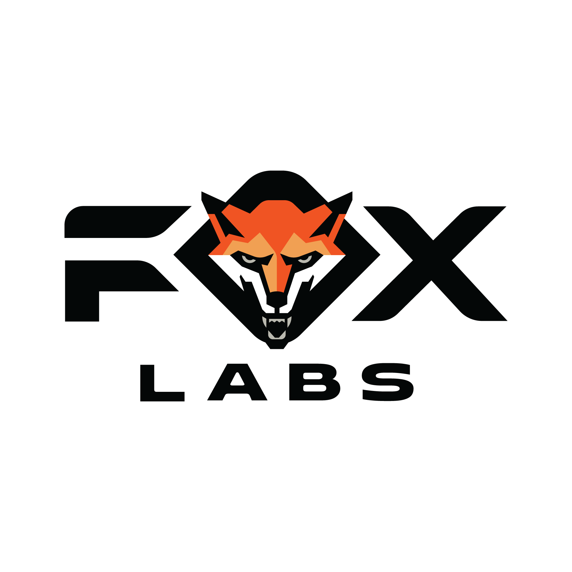 Brandfetch | Fox Labs | Boston MA Logos & Brand Assets