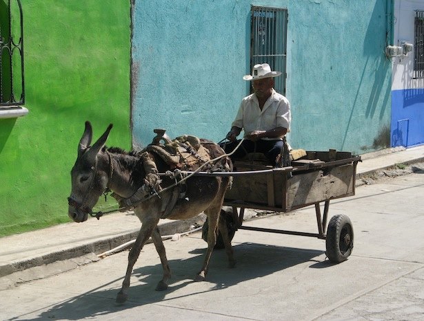 Custy Logos & Brand Assets | Brandfetch