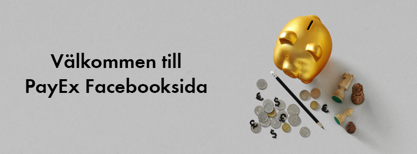 PayEx Logo & Brand Assets (SVG, PNG and vector) - Brandfetch