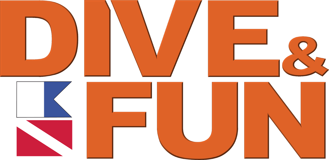 Brandfetch | Dive & Fun Logos & Brand Assets