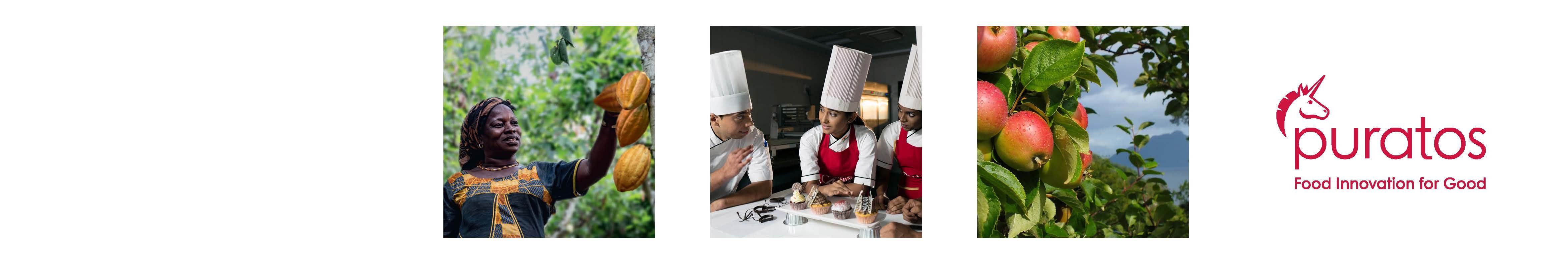 Brandfetch | Puratos Group Logos & Brand Assets