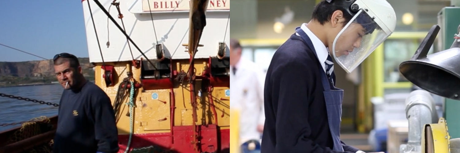 Brandfetch | Sava Films Logos & Brand Assets