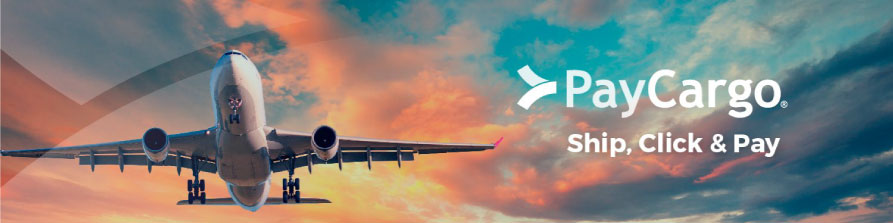 Brandfetch | PayCargo Logos & Brand Assets