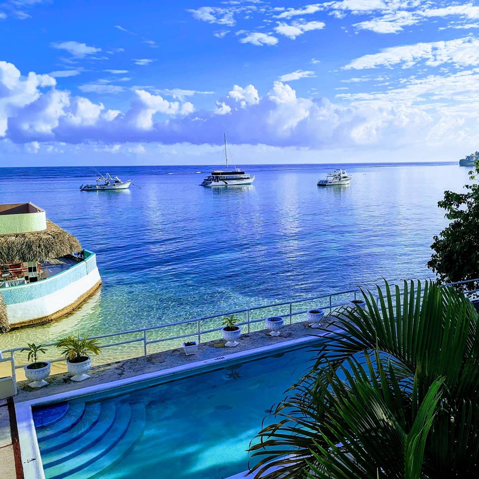 Brandfetch | Ocean Palms Resort | Ocho Rios Logos & Brand Assets