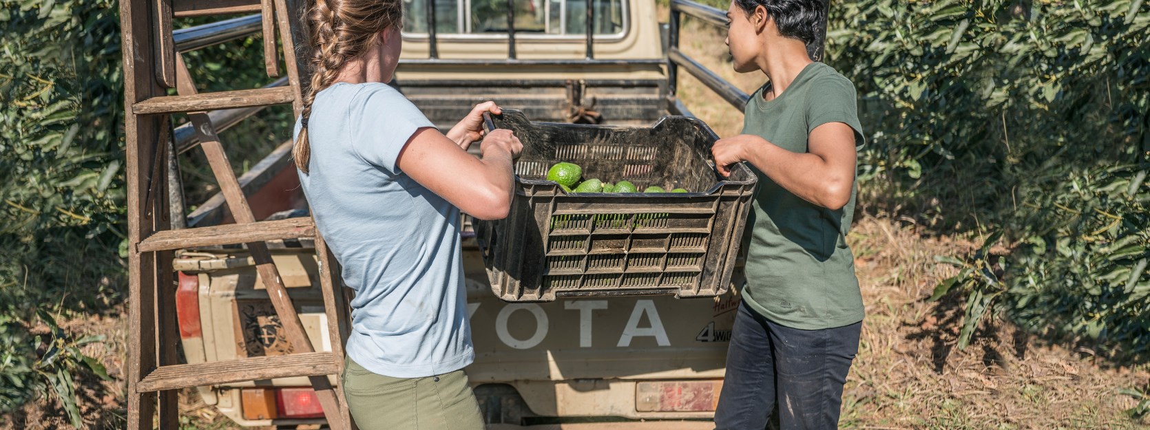 Jonsson Workwear Logos & Brand Assets | Brandfetch