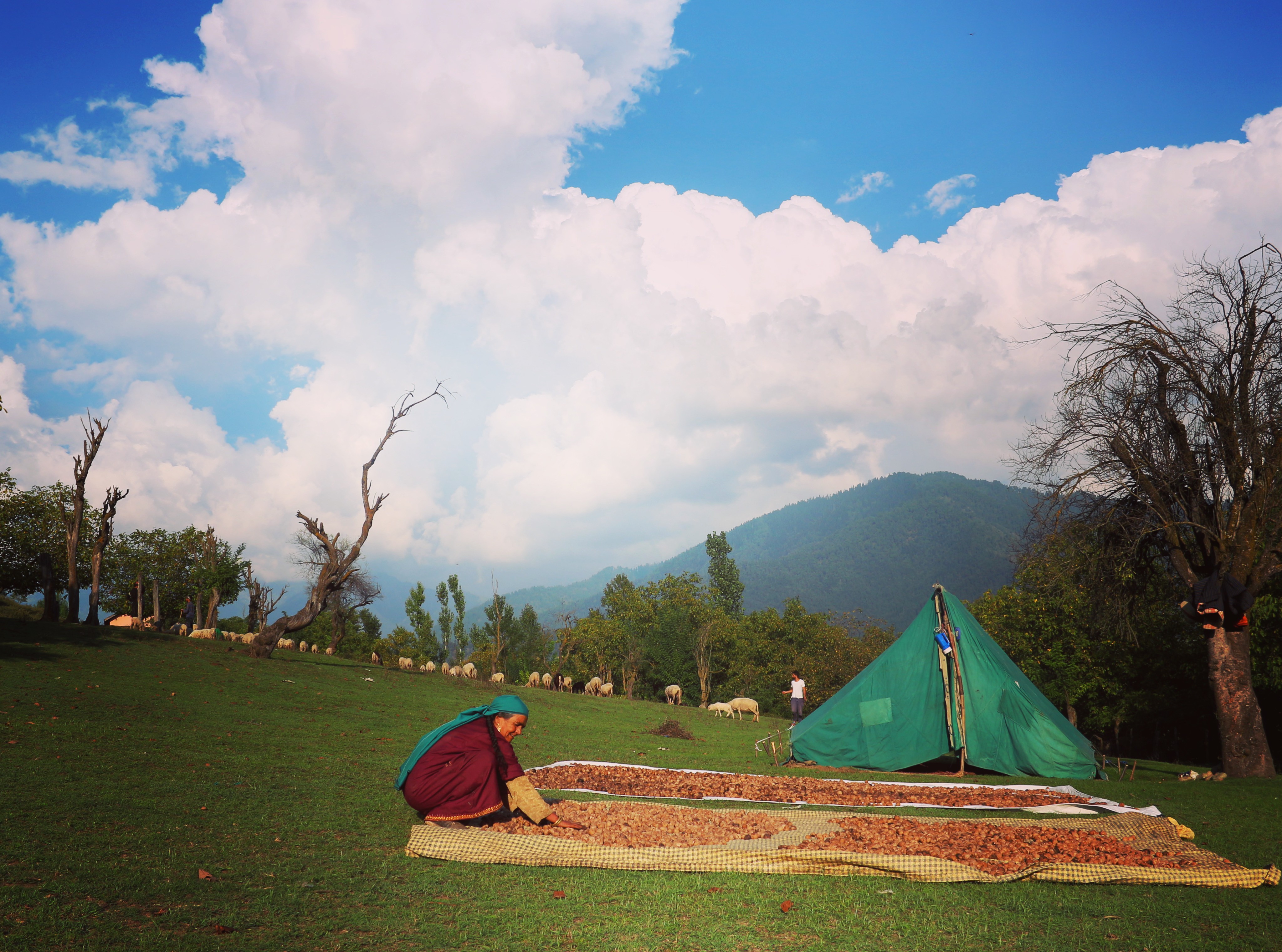 Kanz & Muhul Logos & Brand Assets | Brandfetch