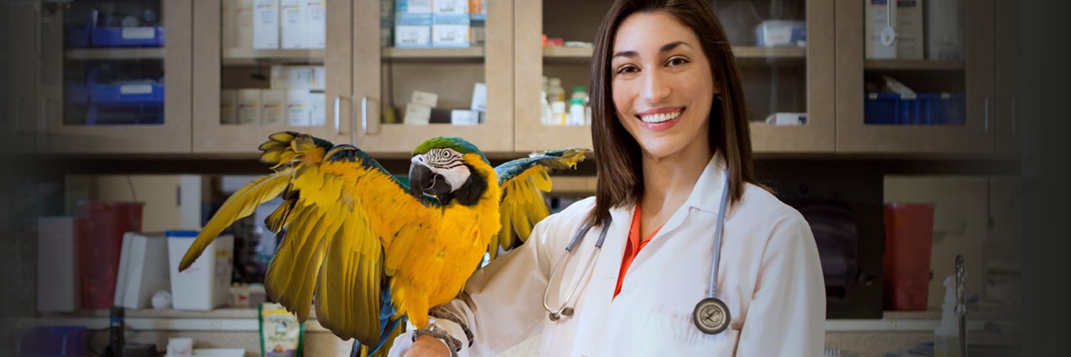 VetPrep Logos & Brand Assets | Brandfetch