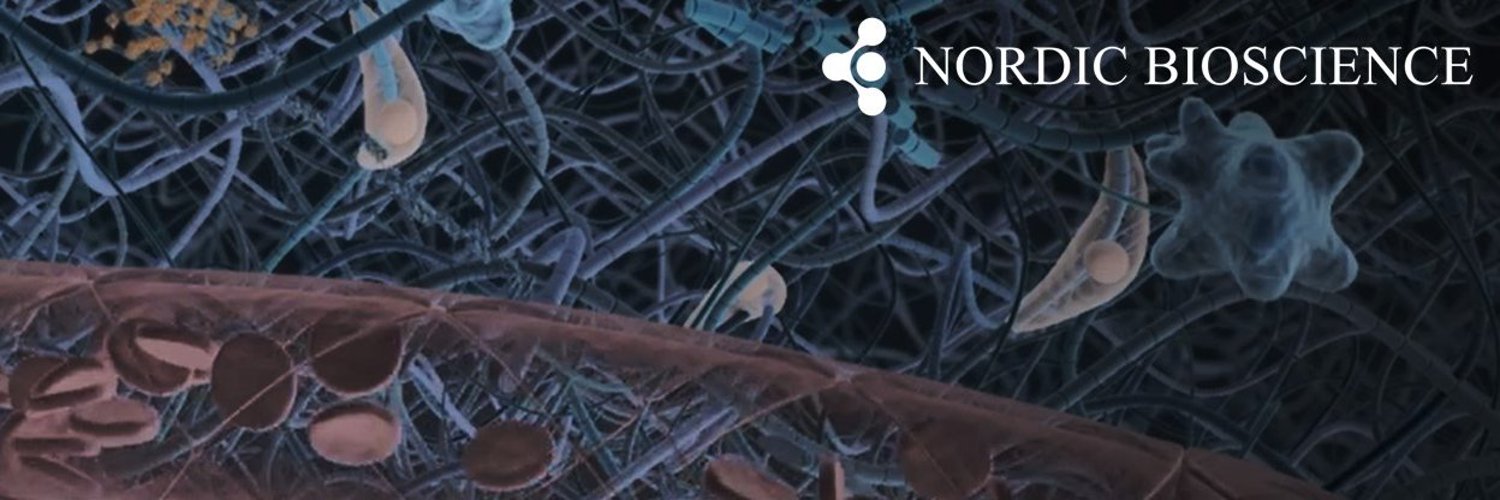 Brandfetch | Nordic Bioscience Logos & Brand Assets