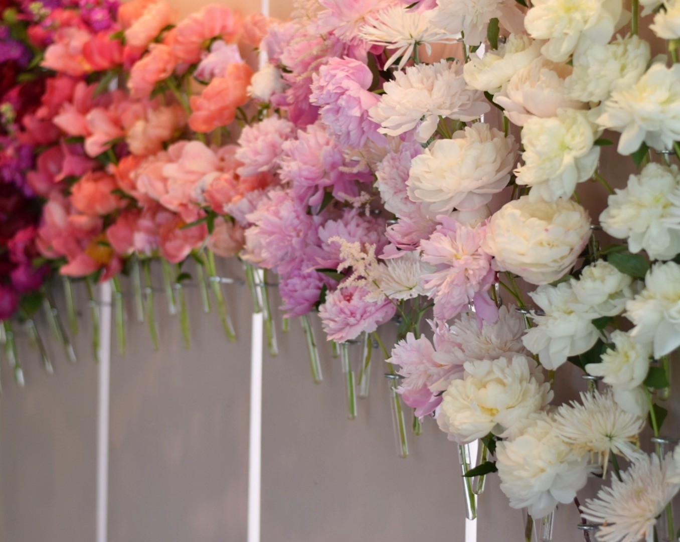 Brandfetch | Degroote Bloemen Logos & Brand Assets