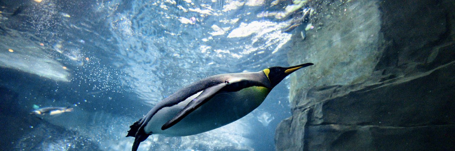 SeaWorld Logo & Brand Assets (SVG, PNG and vector) - Brandfetch