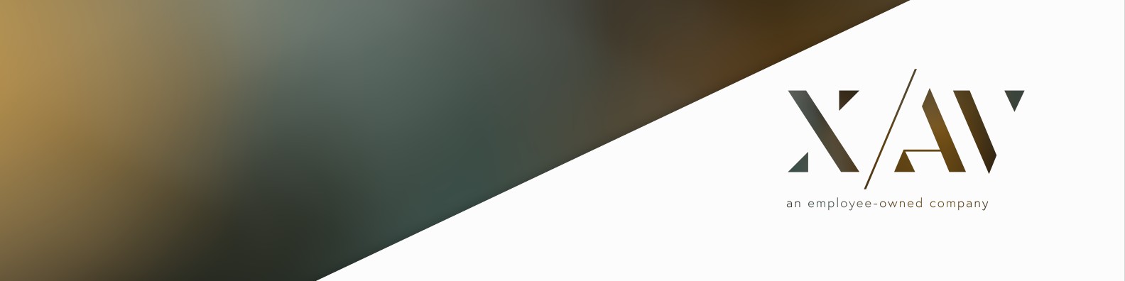Brandfetch | Project XAV Logos & Brand Assets