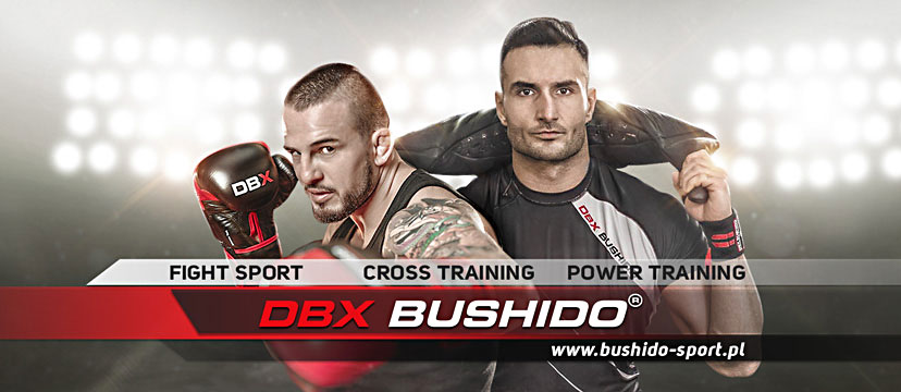 DBX BUSHIDO Logos & Brand Assets | Brandfetch