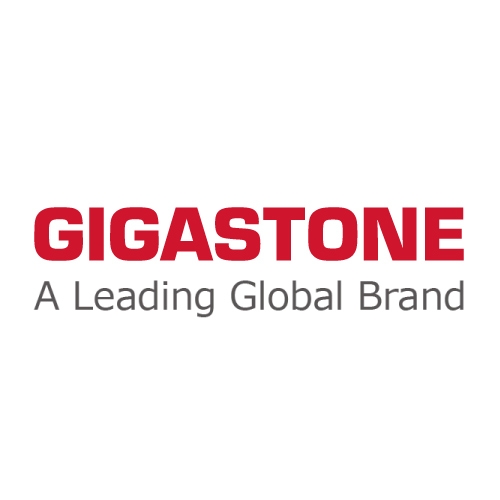 Gigastone Logo & Brand Assets (SVG, PNG and vector) - Brandfetch