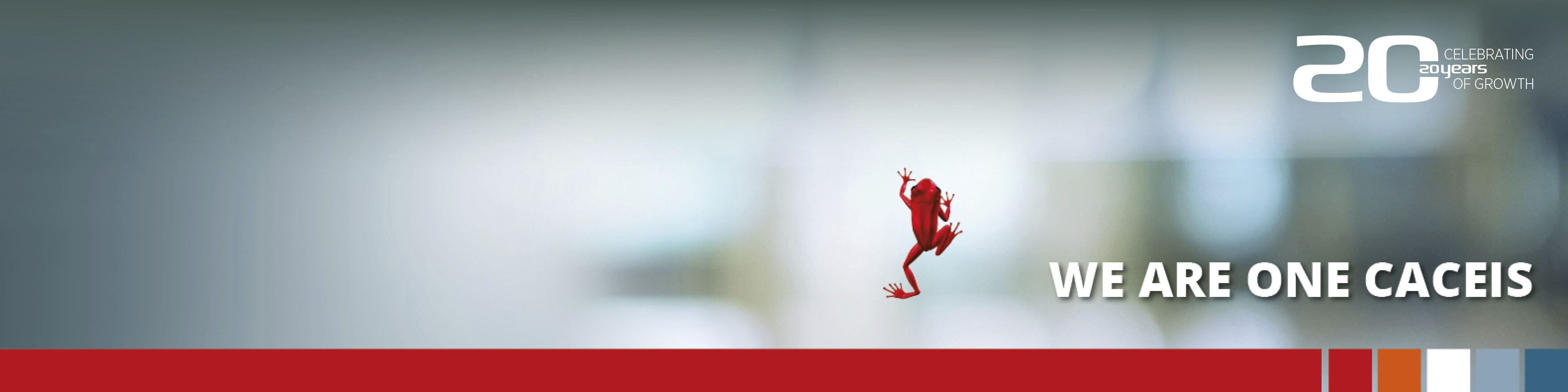 Brandfetch | CACEIS Logos & Brand Assets