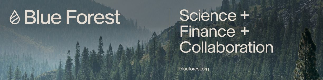 Brandfetch | Blue Forest Logos & Brand Assets