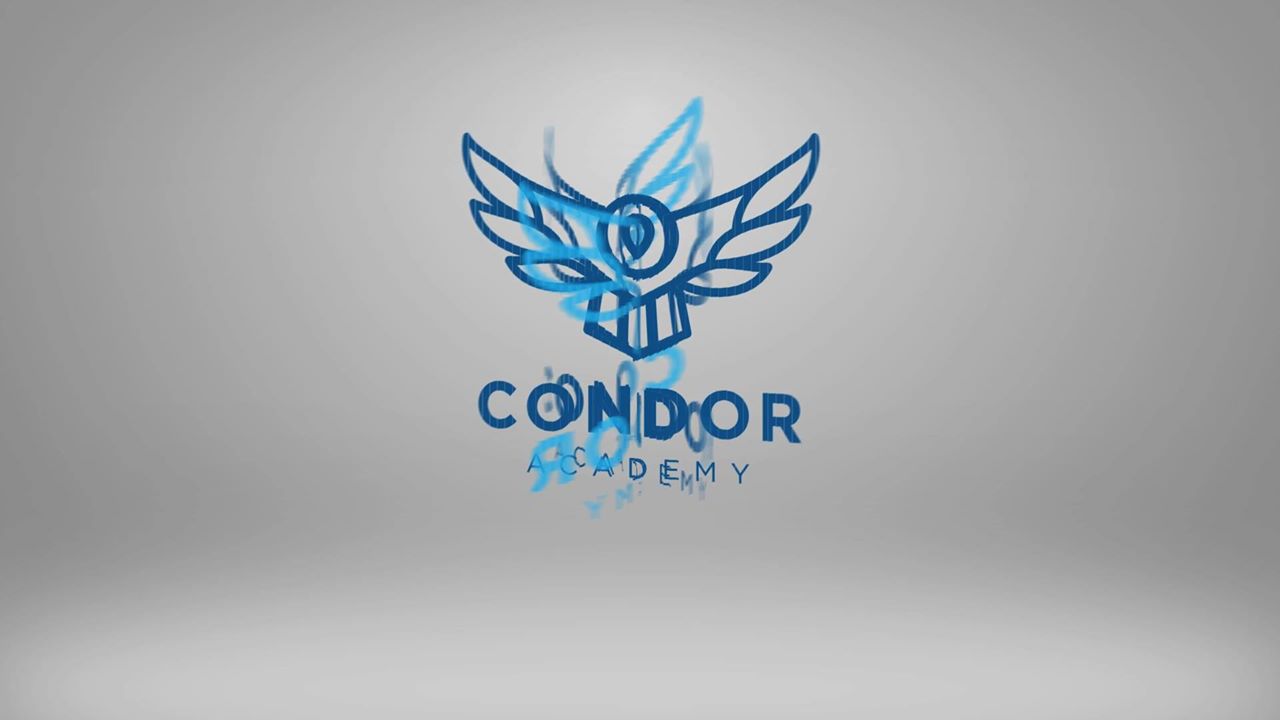 Condor Academy Logos & Brand Assets | Brandfetch