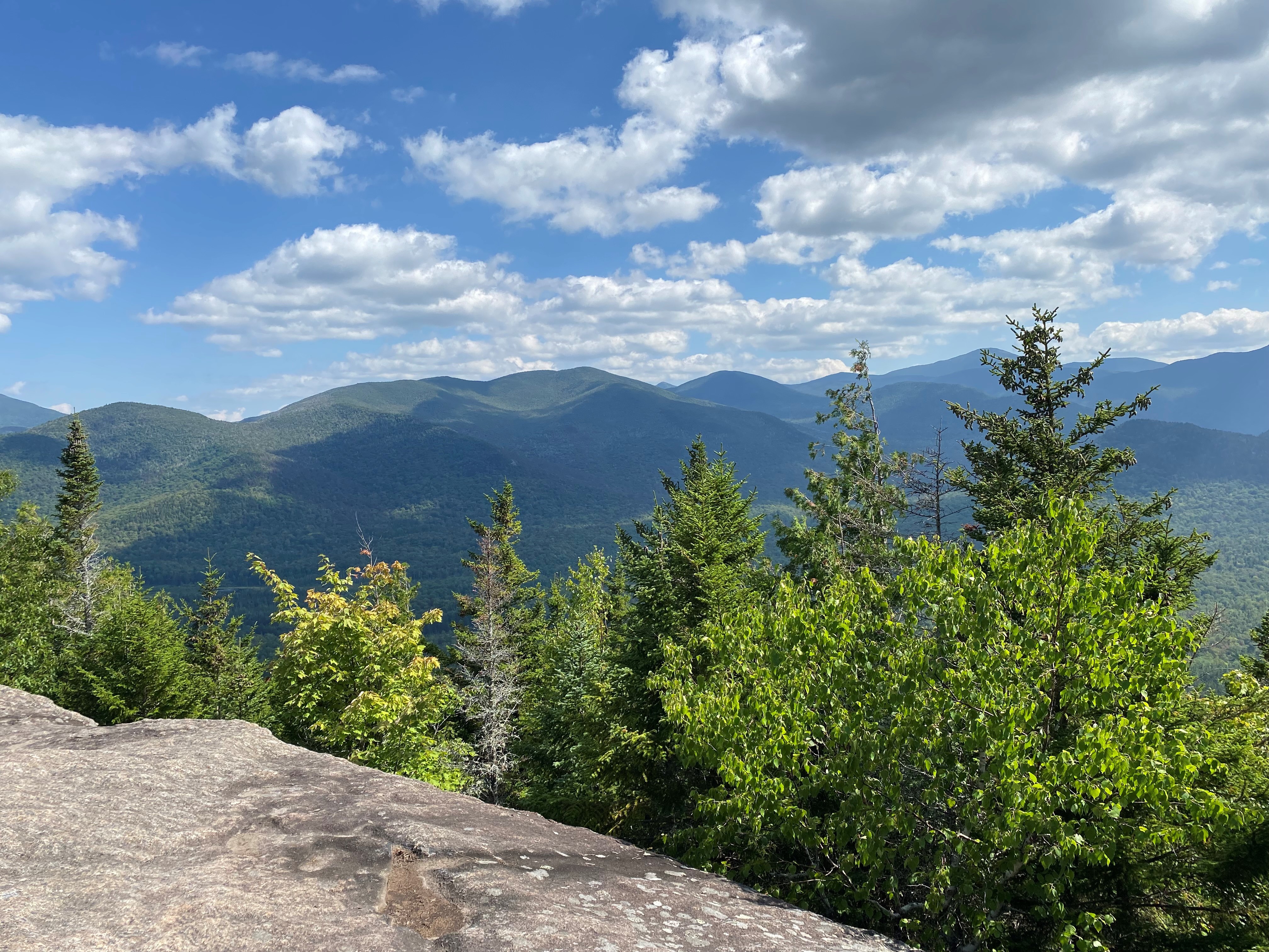 Brandfetch | TruePoint Logos & Brand Assets