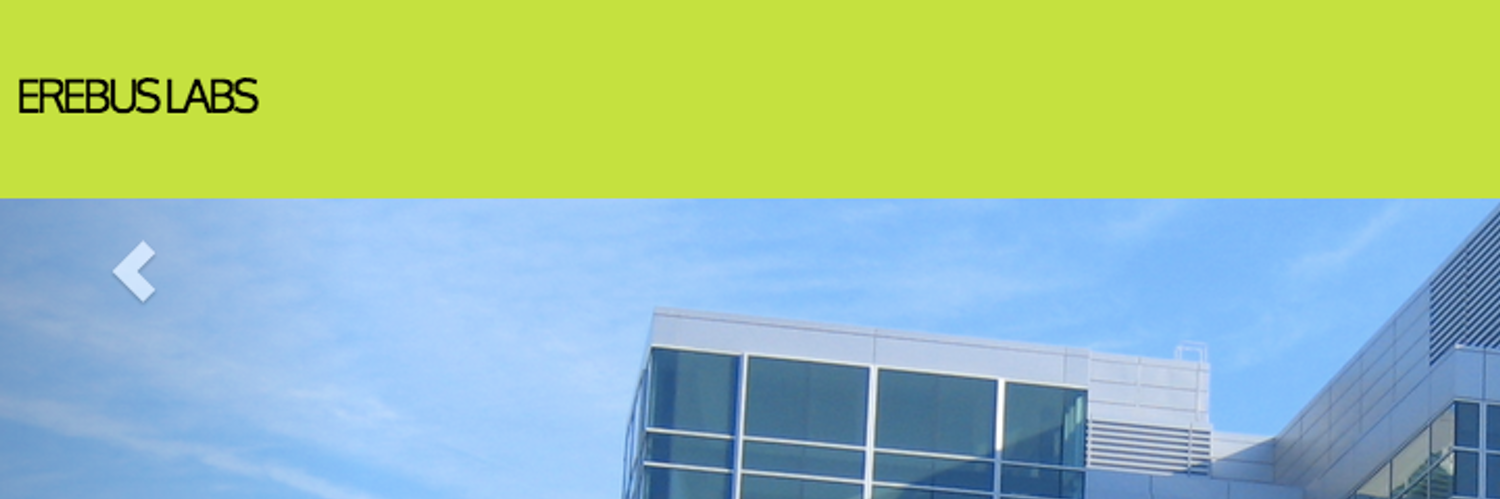 Erebus Labs Logos & Brand Assets | Brandfetch