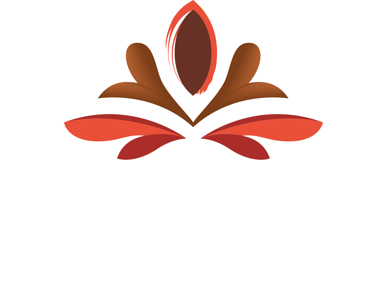 Valrhona Logos & Brand Assets | Brandfetch