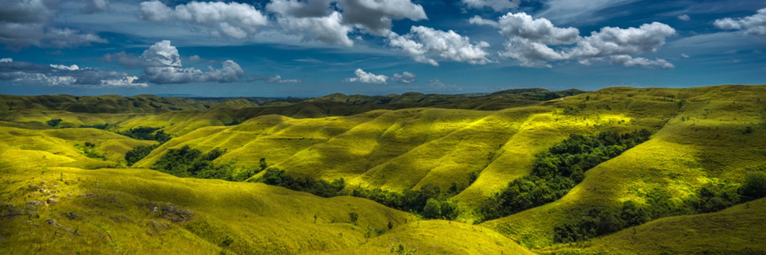 Brandfetch | Traveloka Logos & Brand Assets