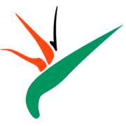 Glen Ivy Hot Springs Logos & Brand Assets | Brandfetch